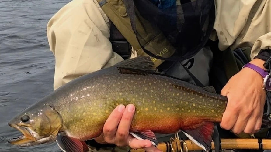 Fly Fishing for Massive Brook Trout in Labrador, Canada! – Drift Outfitters