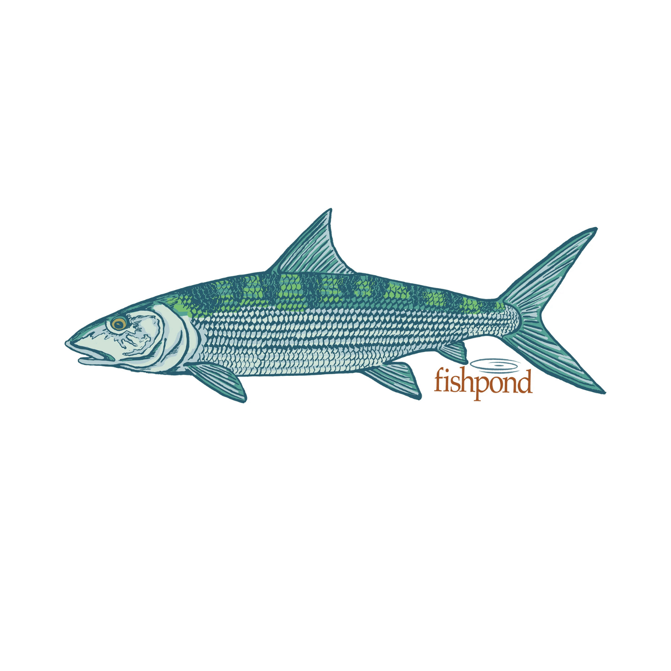 Fishpond Phantom Sticker – Drift Outfitters