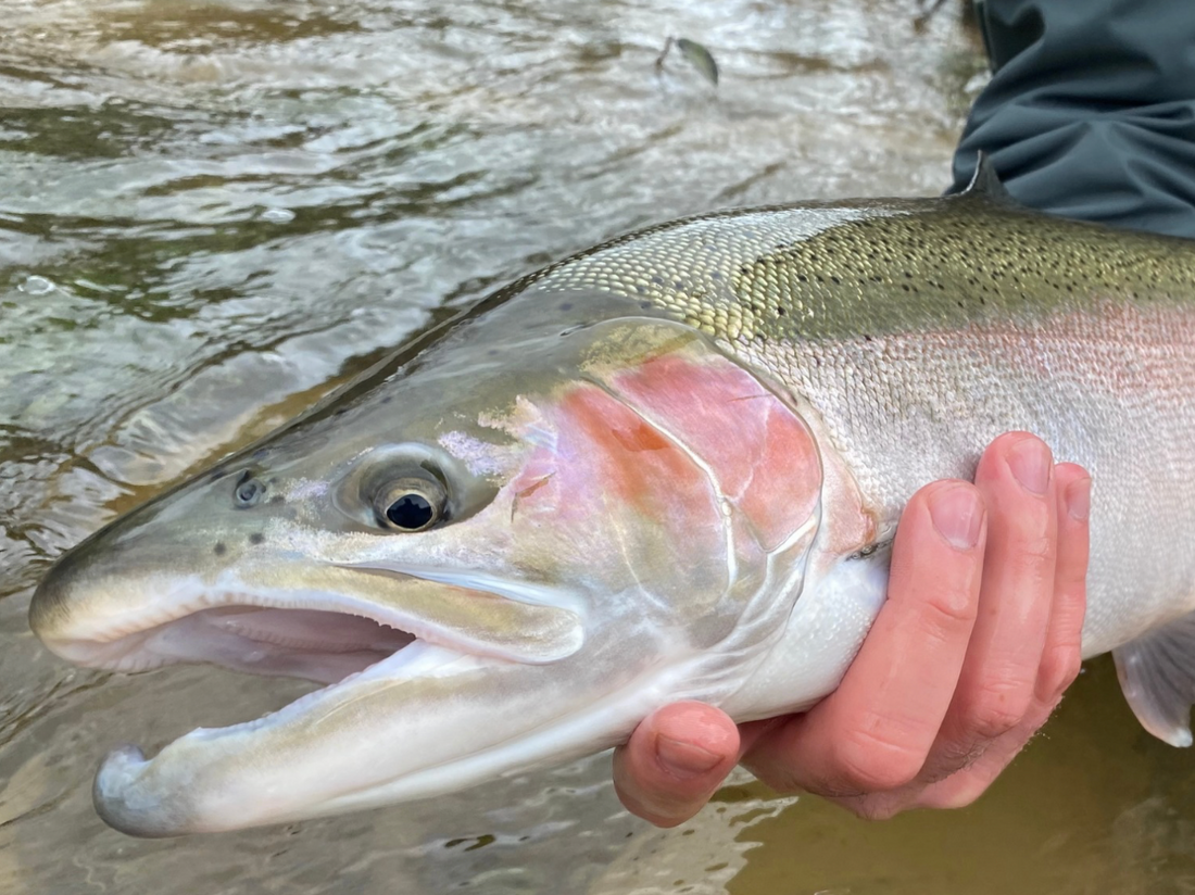 Drift Outiftters - Your Fly Shop and Centerpin Store – Drift Outfitters