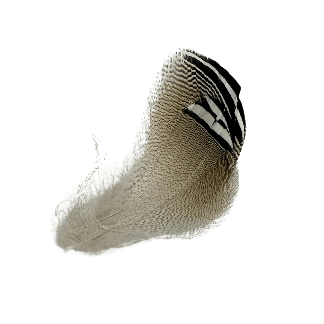 Wapsi - Wood Duck B&W Flank – Drift Outfitters